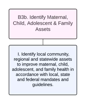 B3. Maternal, Child, Adolescent and Family Health | Colorado Local ...